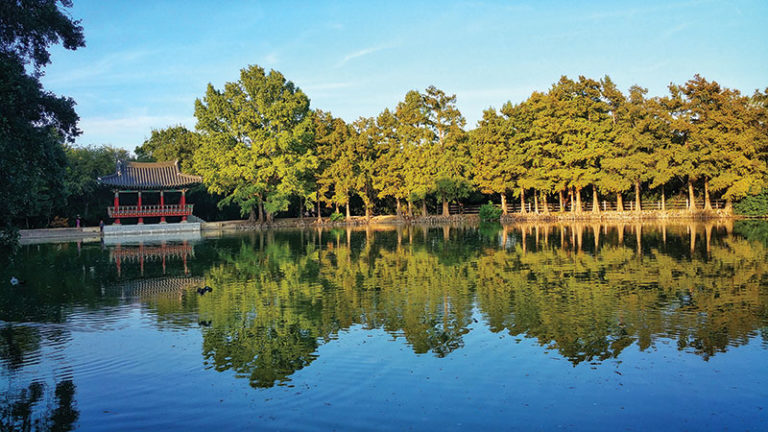 Best Parks: Denman Estate Park - San Antonio Magazine